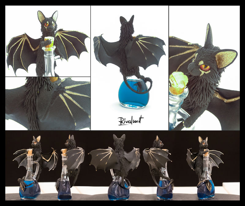 Rivalmit Gallery - Bat kitty #9 | rivalmit.com